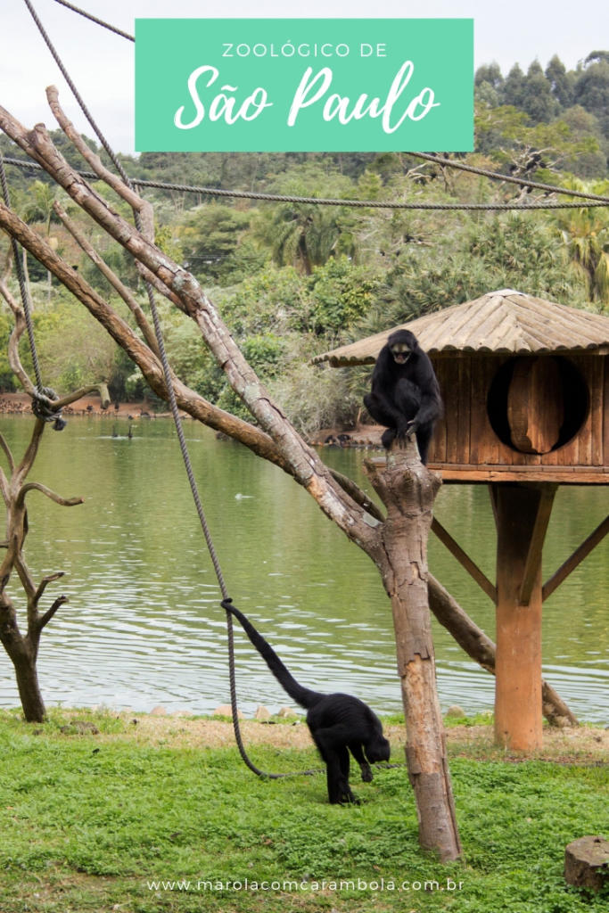 Zoológico de São Paulo - Considerado o maior do Brasil