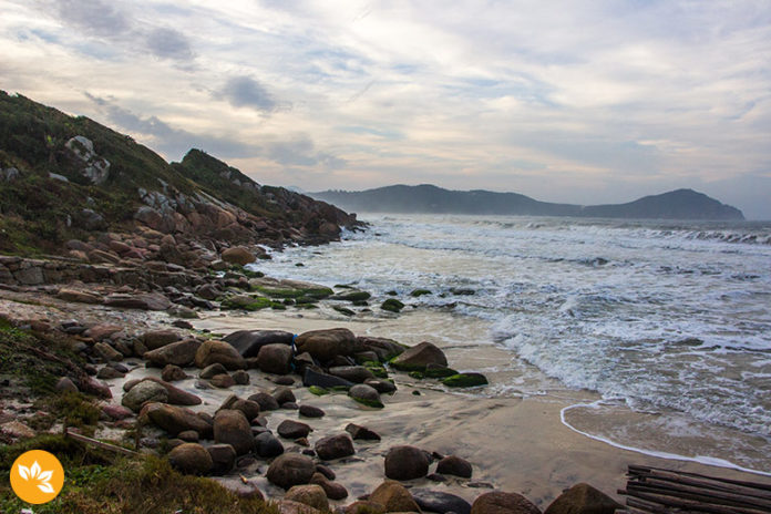 Praia do Rosa - 10 motivos para conhecer o charmoso destino